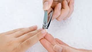 Nail Clippers German Made | Best Nail Nippers from Germany